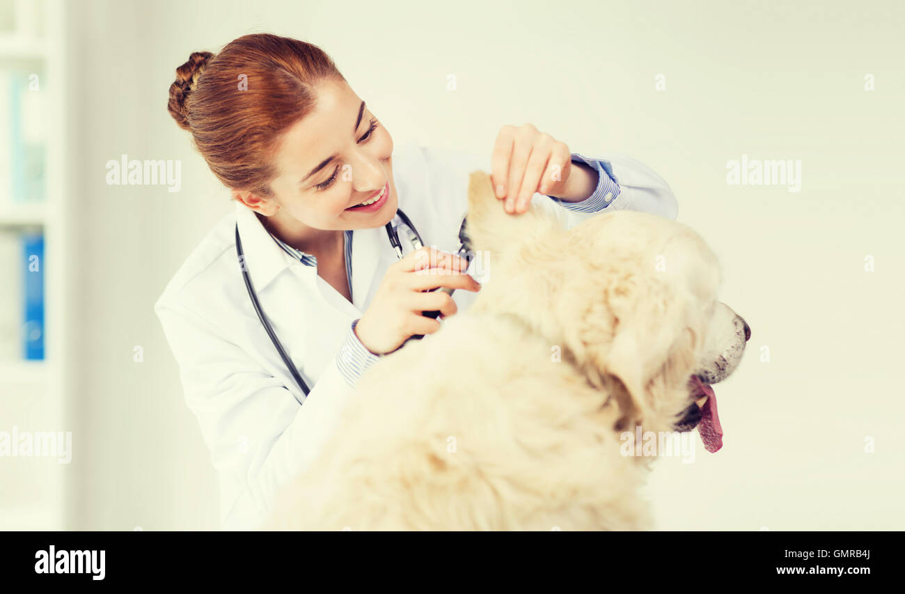 happy doctor with otoscope and dog at vet clinic Stock Photo - Alamy