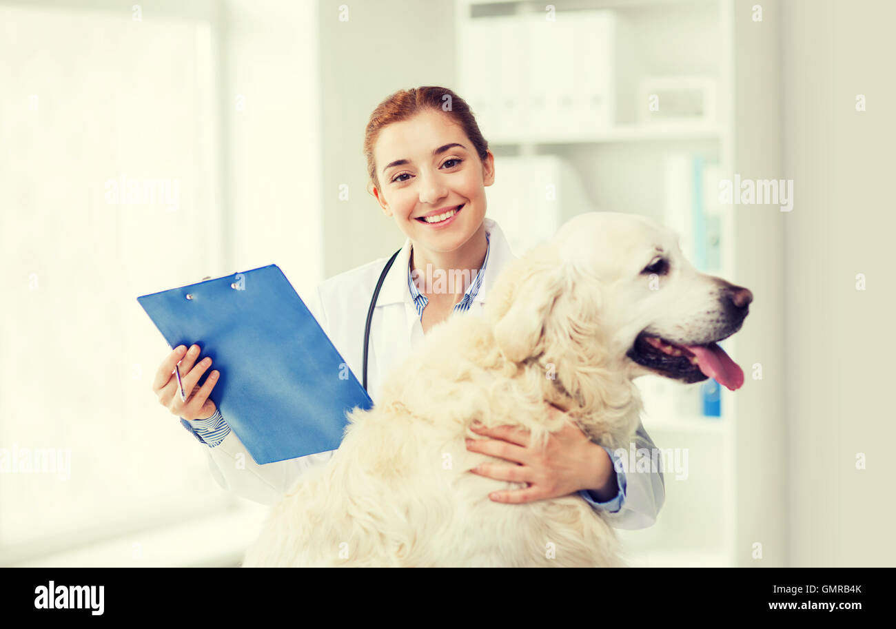 happy doctor with retriever dog at vet clinic Stock Photo - Alamy