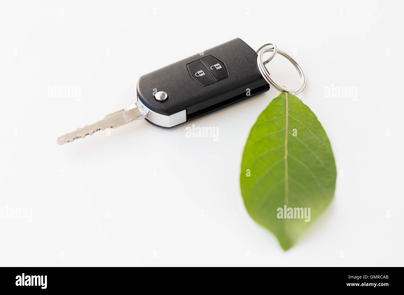 close up of car key and green leaf Stock Photo - Alamy
