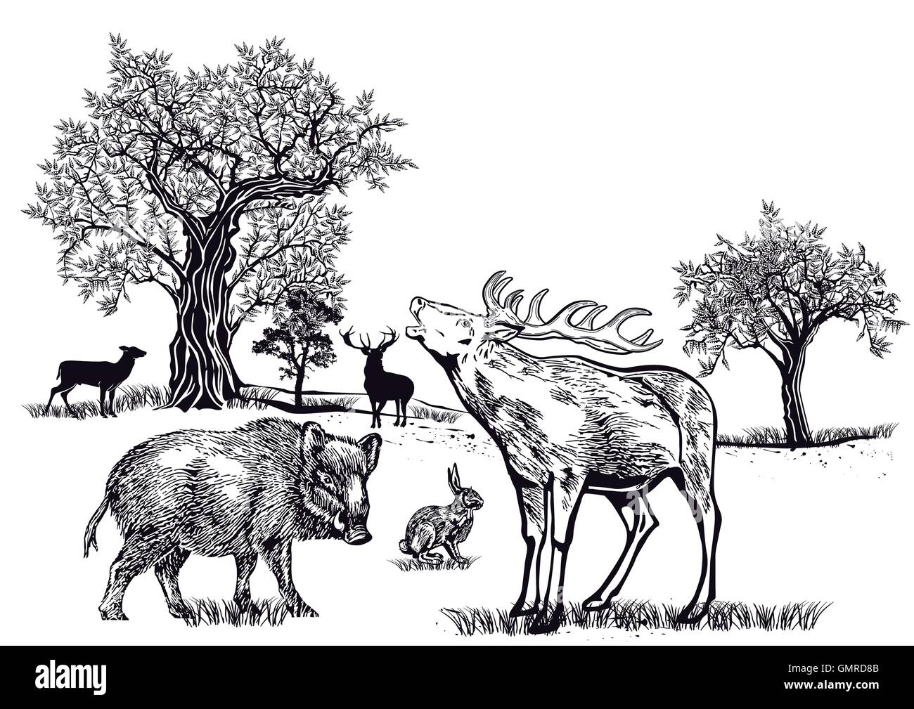 Trees woodland forest Stock Vector Images - Alamy