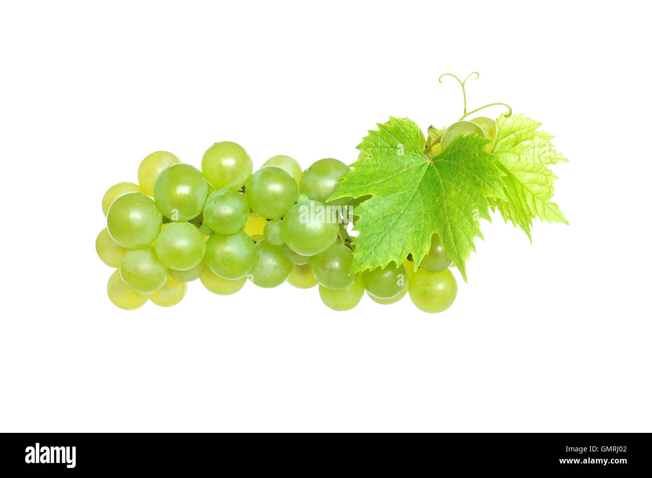 White grapes, isolated on a white background Stock Photo - Alamy
