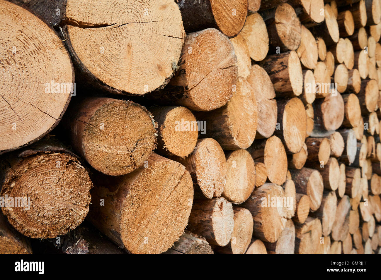 background of firewood stack Stock Photo - Alamy