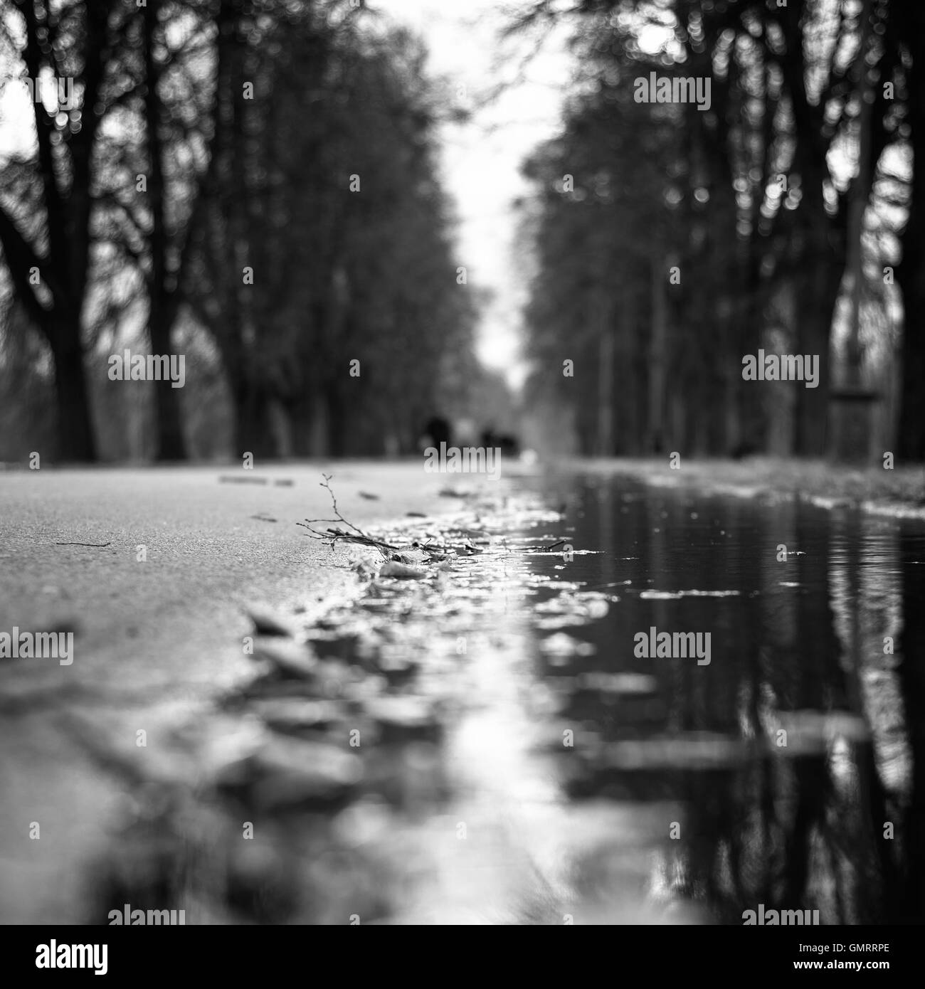 Black white road park Black and White Stock Photos & Images - Alamy