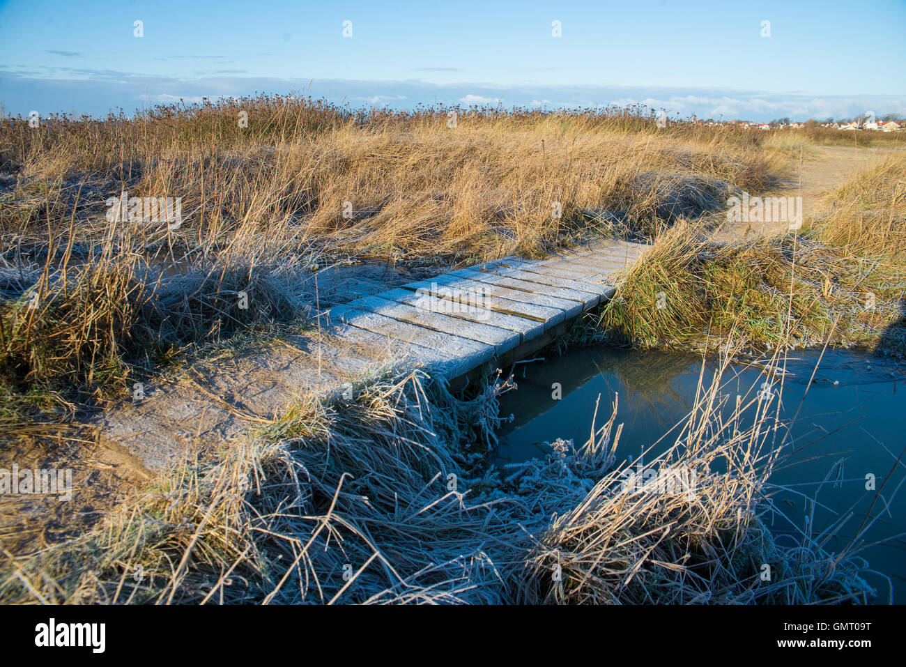 Bridge water grass hi-res stock photography and images - Alamy