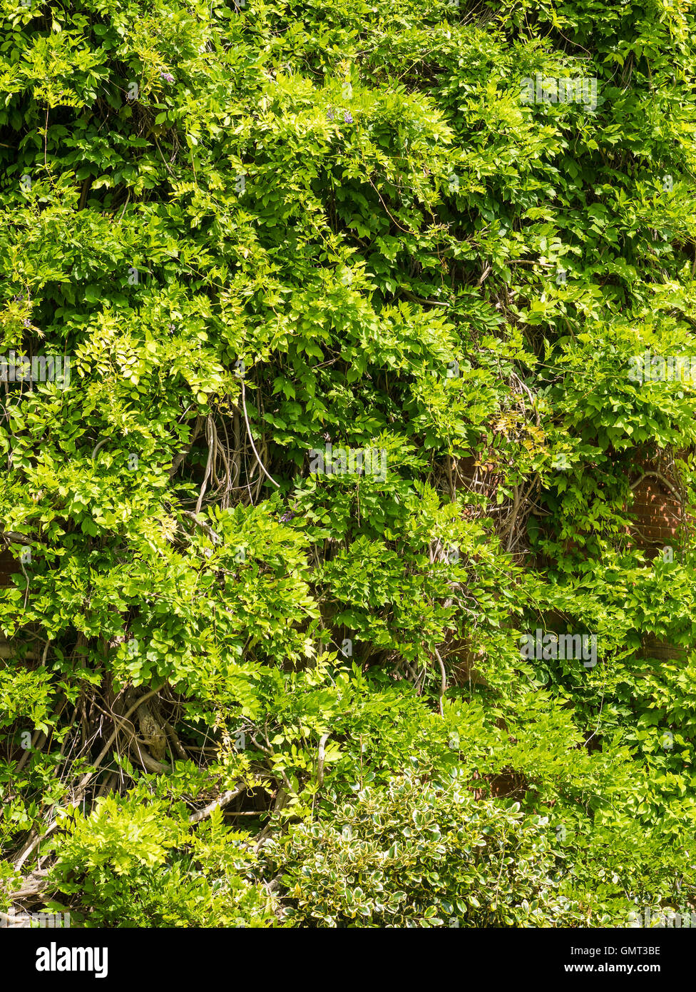 The RSC (Royal Shakespeare Company) theatre at Stratford upon Avon ...