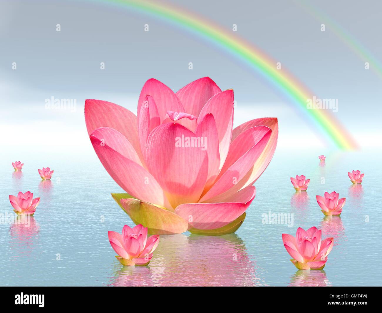 Lily flowers under rainbow Stock Photo - Alamy