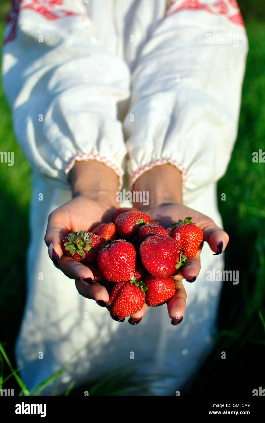 Hand with berry hi-res stock photography and images - Alamy