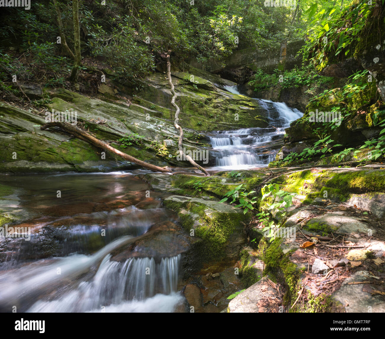 Catawba River Valley at George Sorensen blog