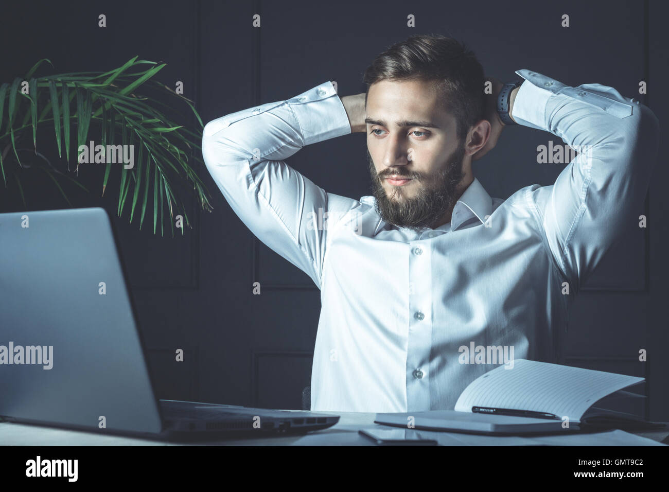 Handsome Young Bearded Businessman Stock Photo - Alamy