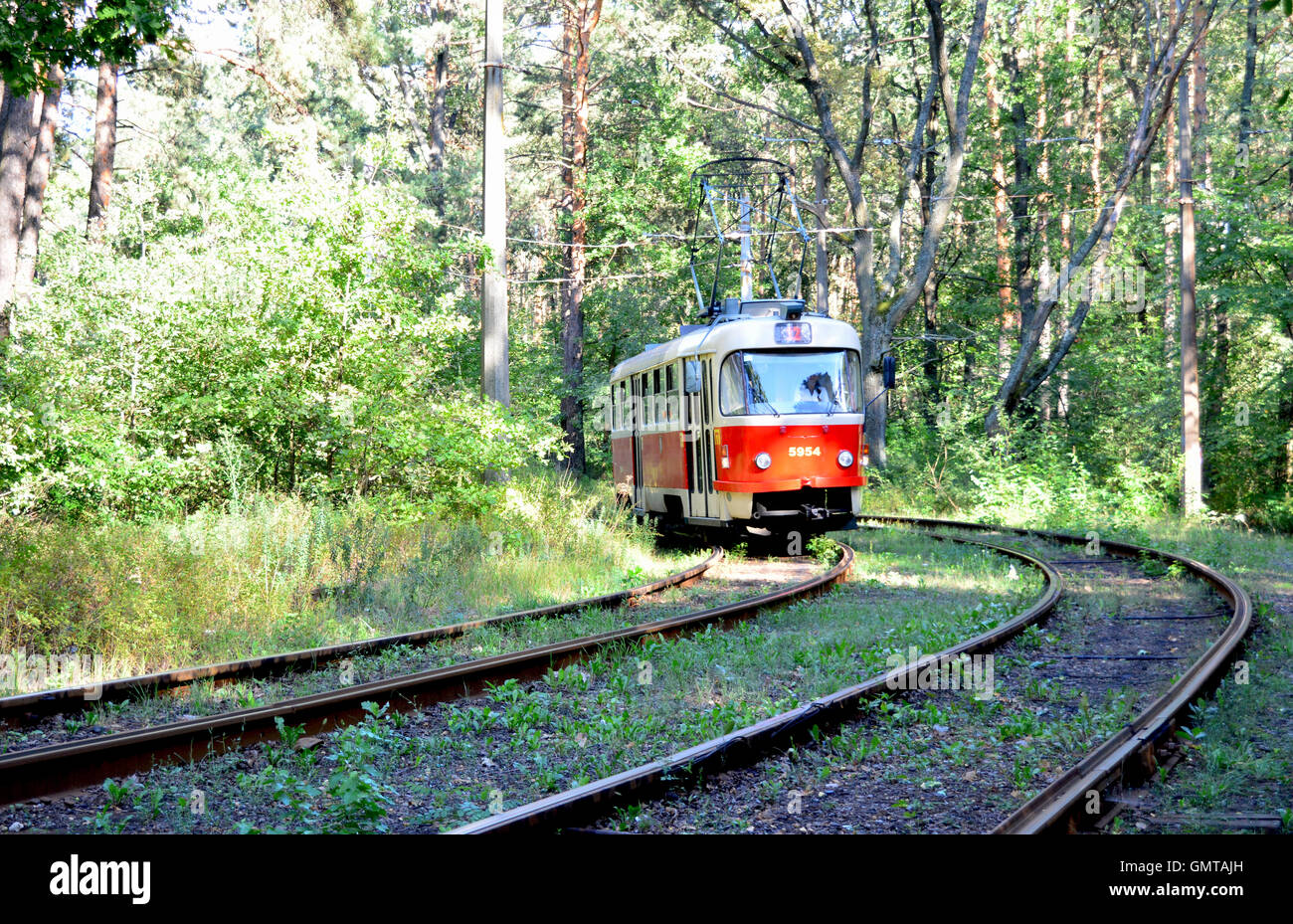 Retro red tram car rides on the same railway the woods Stock Photo - Alamy