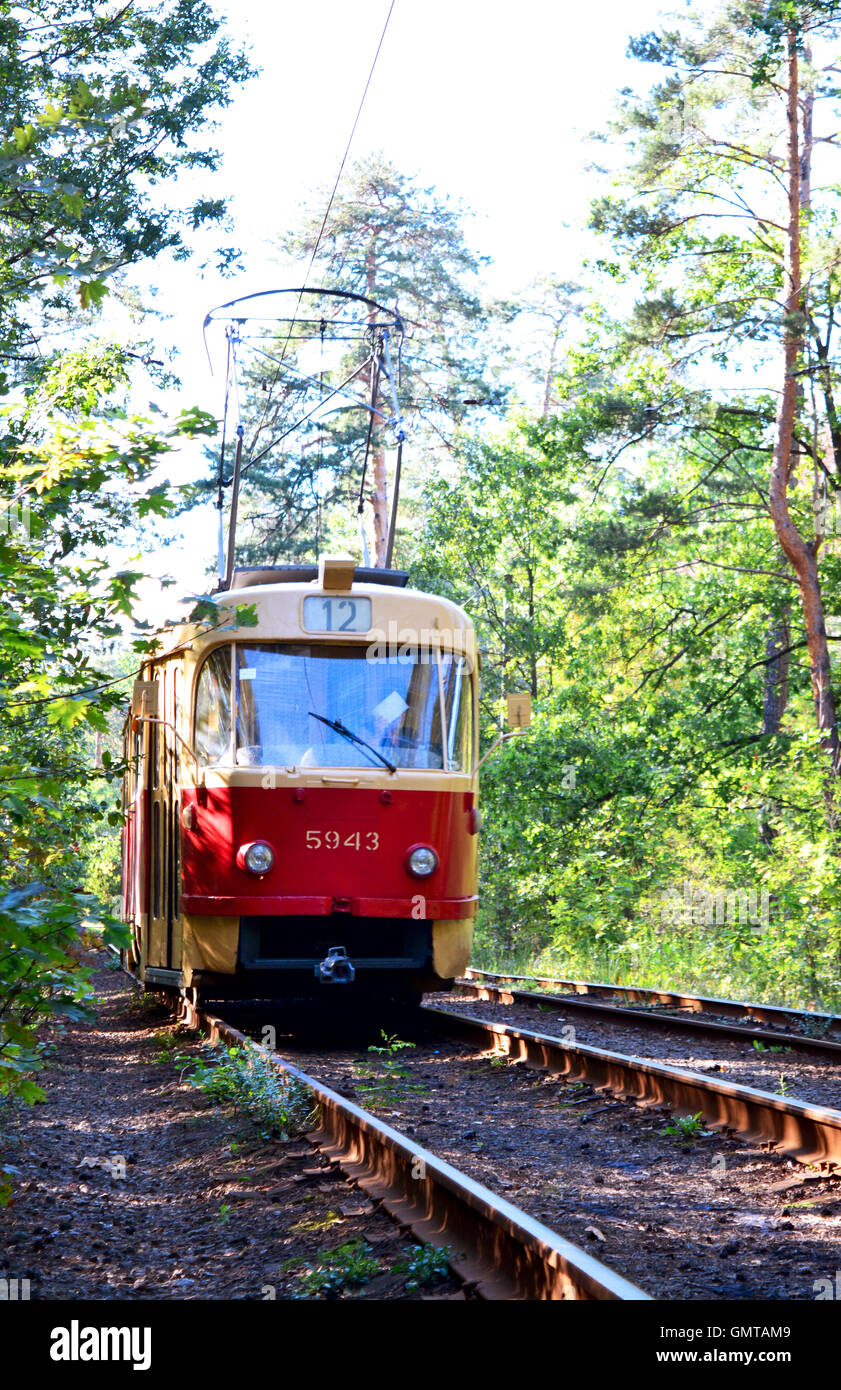 Retro red tram car rides on the same railway the woods Stock Photo - Alamy