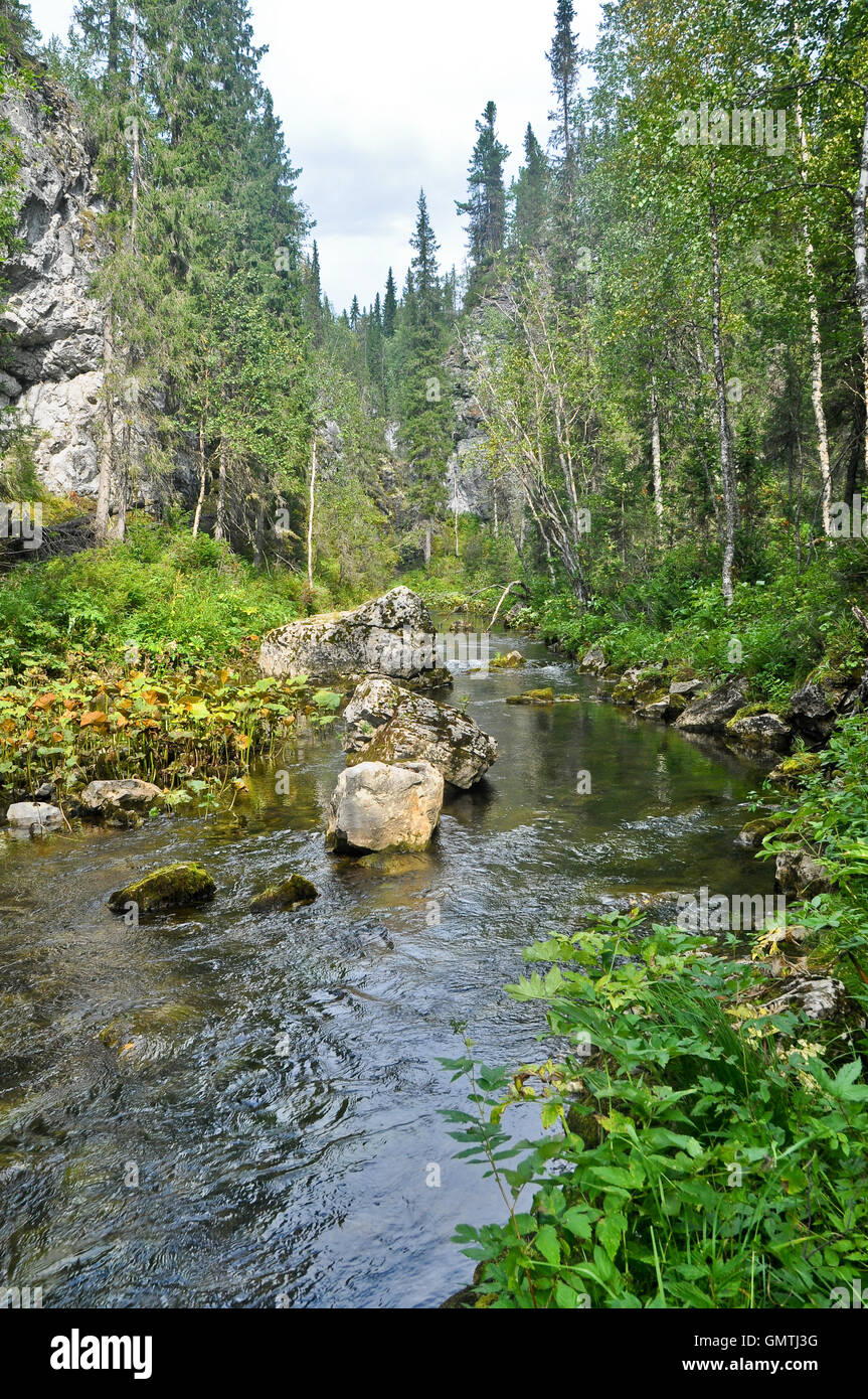 River in a rocky gorge. The river in the national Park Yugyd VA in the ...