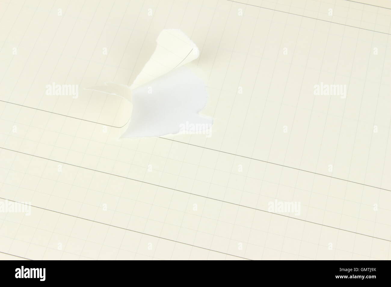 A sheet of notebook paper, lined, with oval shaped ripping, for white ...