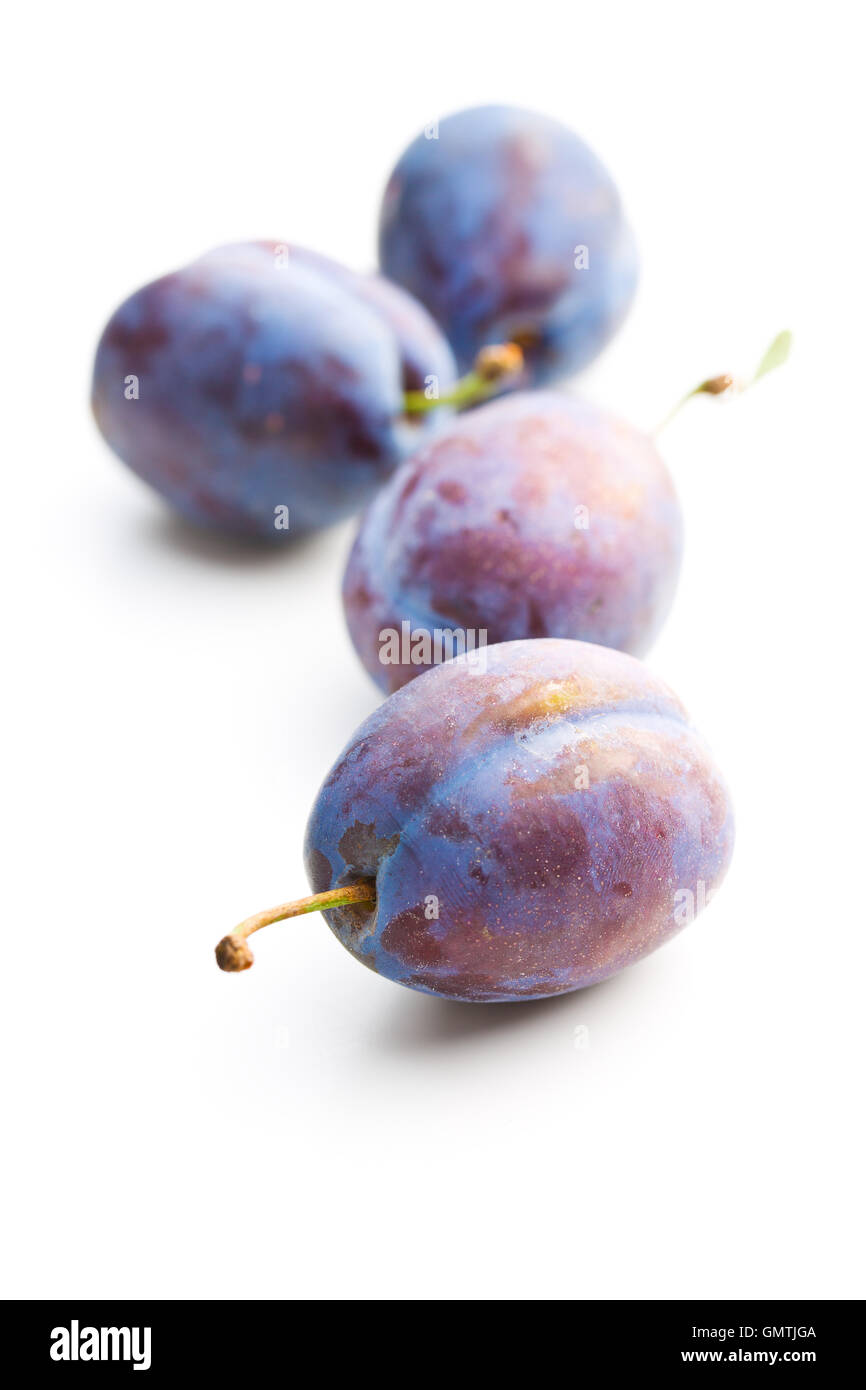 Fresh plums from garden isolated on white background Stock Photo - Alamy