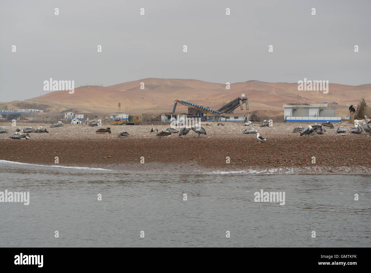 Ballestas Islands, Paracas, Peru Stock Photo - Alamy
