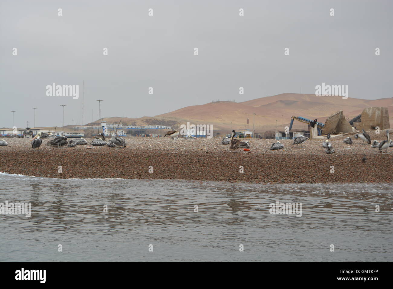 Ballestas Islands, Paracas, Peru Stock Photo - Alamy