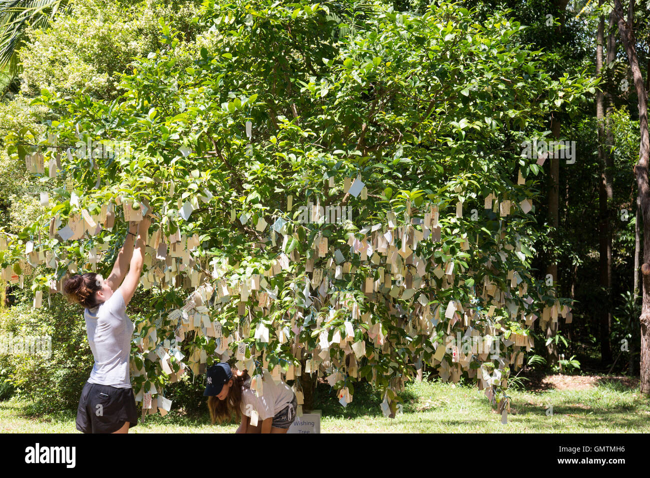 hanging wish messages at Crystal Castle and Shambhala Gardens in ...