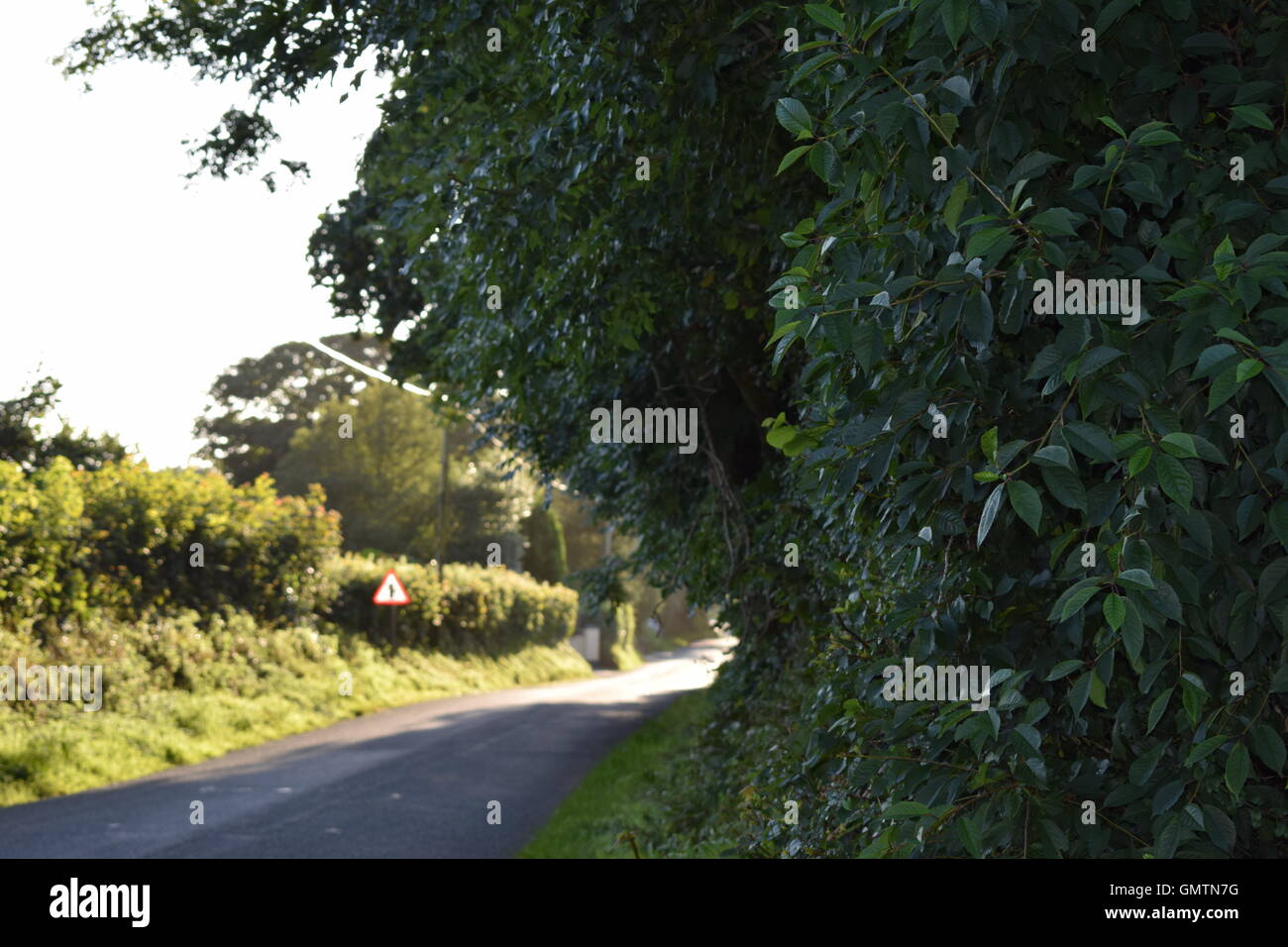 Welsh country village hi-res stock photography and images - Alamy