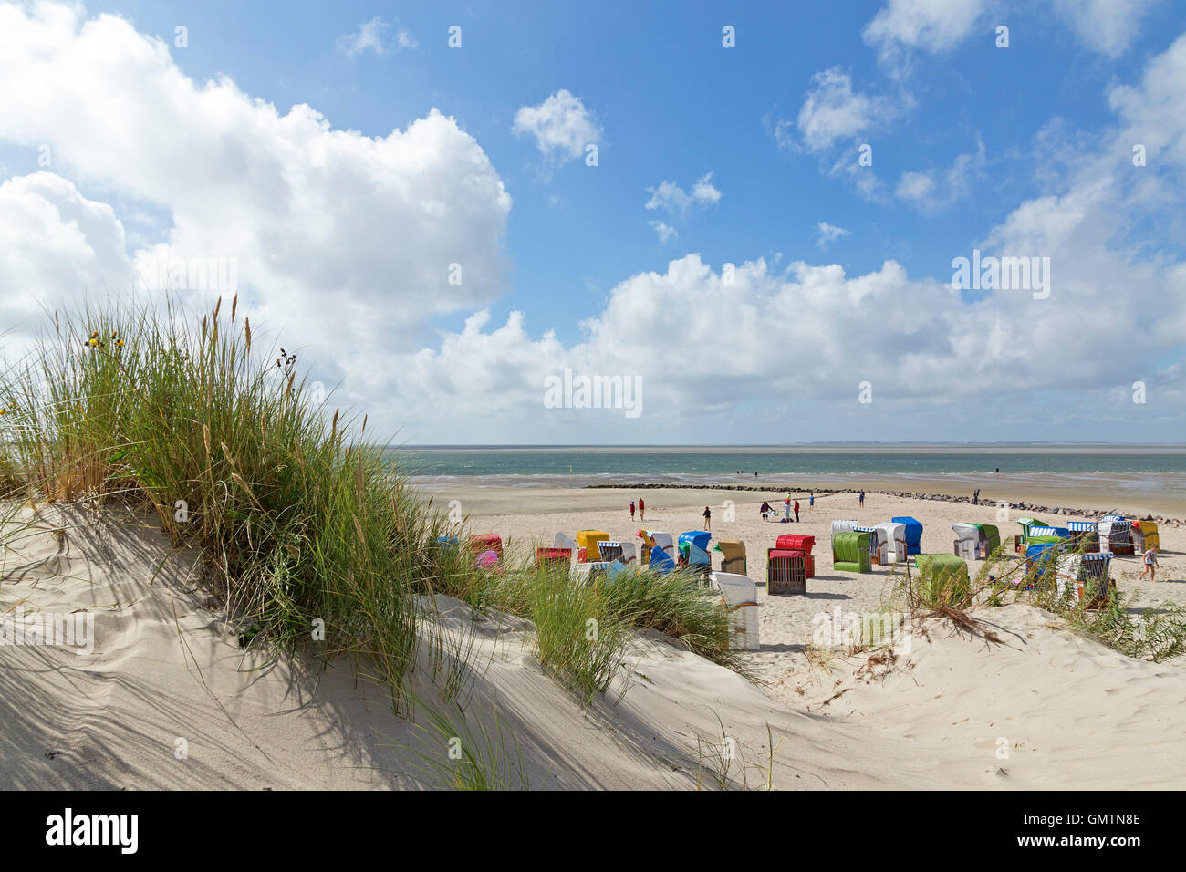 dunes and beach, Utersum, Foehr Island, North Friesland, Schleswig ...