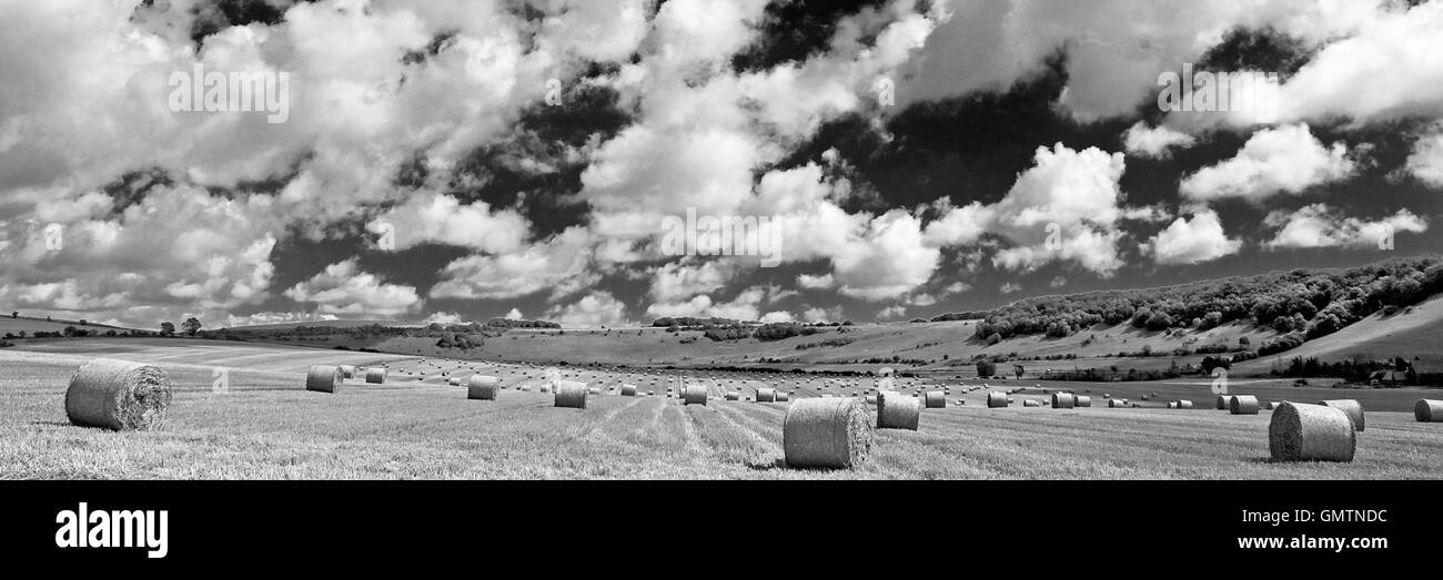Hay bales on the Long Furlong Stock Photo - Alamy