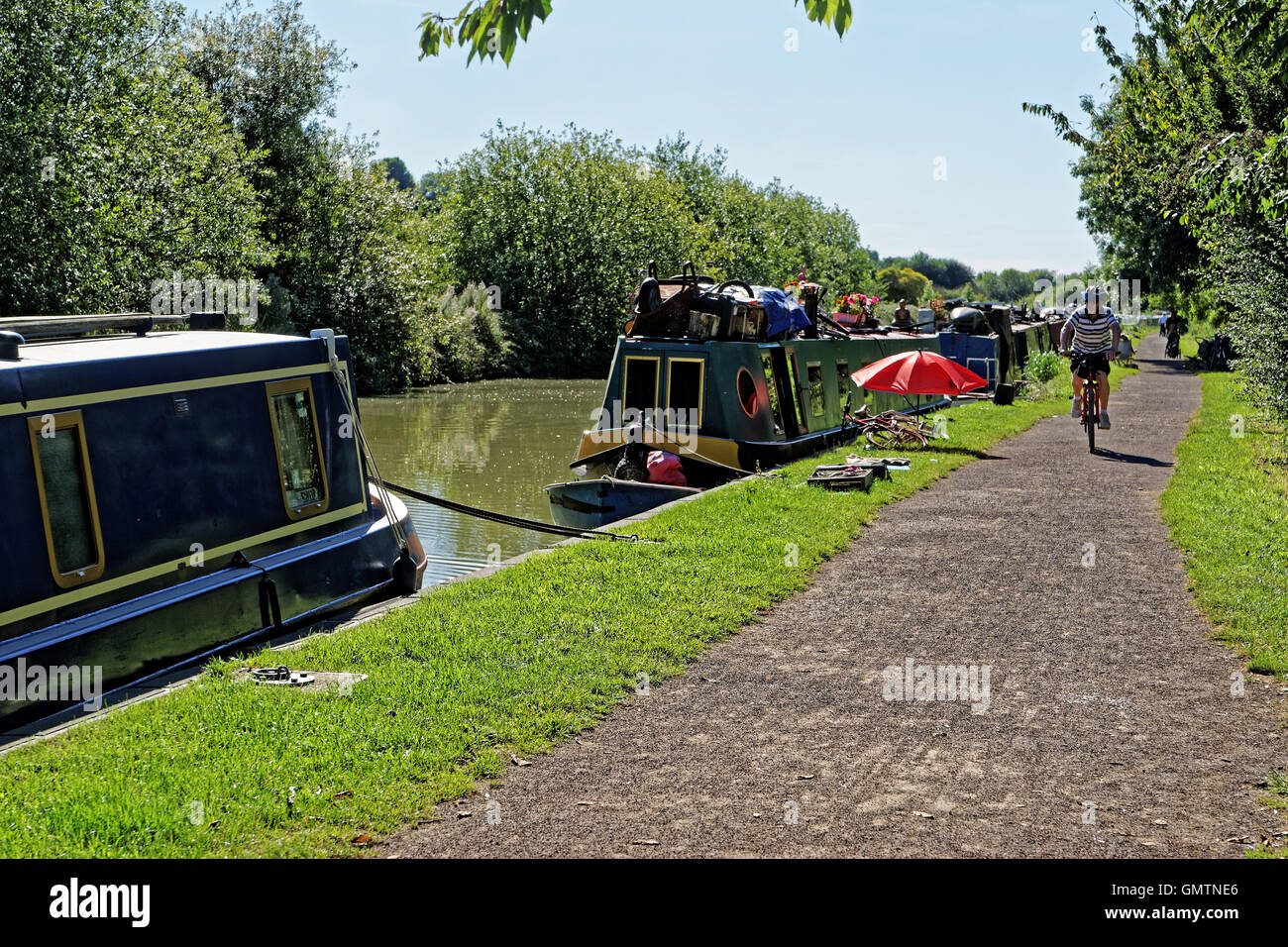 person cycling on tow path on Kennet and Avon Canal Stock Photo - Alamy