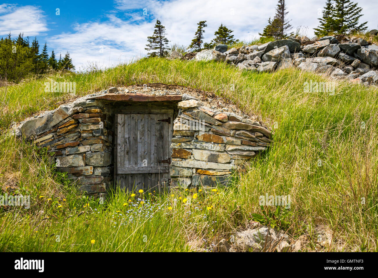 An in-ground root cellar at Elliston, Newfoundland and Labrador, Canada ...
