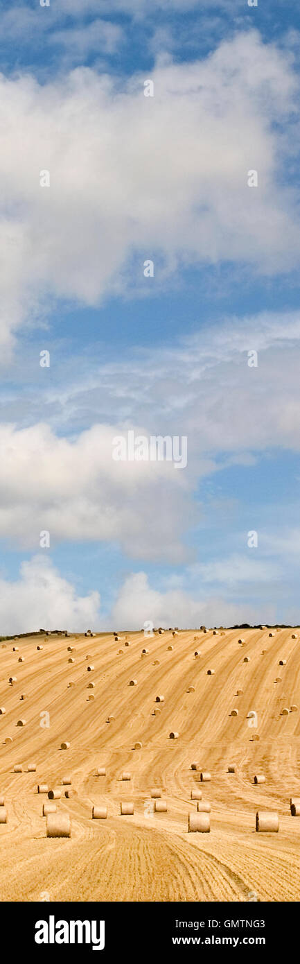 Lower beeding sussex hi-res stock photography and images - Alamy