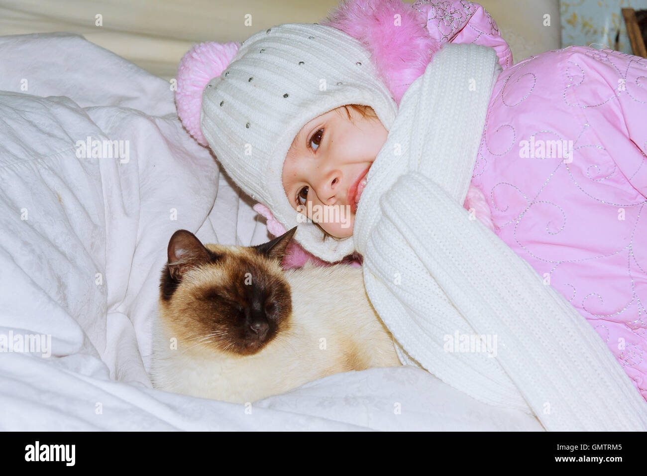 a girl is playing with a kitten Little girl plays with a cat Stock ...
