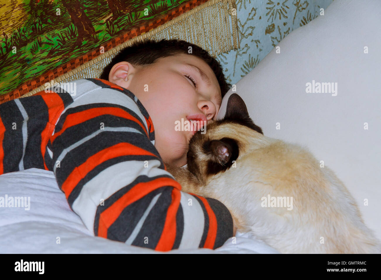 young boy with cat resting on bed boy sleeps with a cat on the bed ...