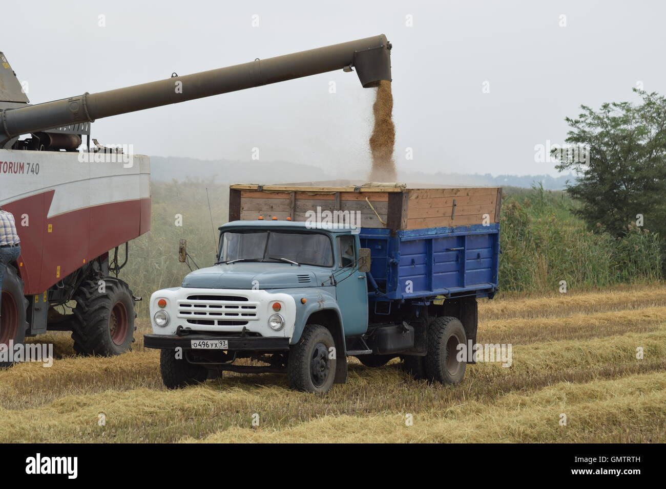 Unloading grain from a combine into a truck Stock Photo - Alamy