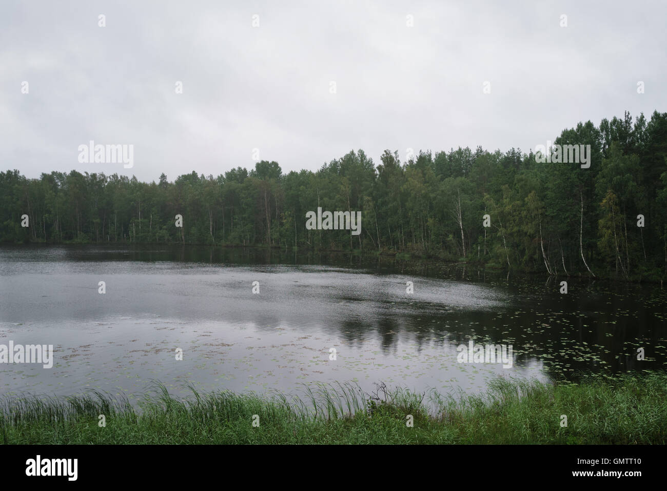 misty morning on scandinavian lake small rain Stock Photo - Alamy