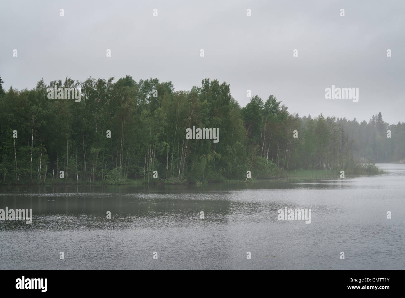 misty morning on scandinavian lake small rain Stock Photo - Alamy
