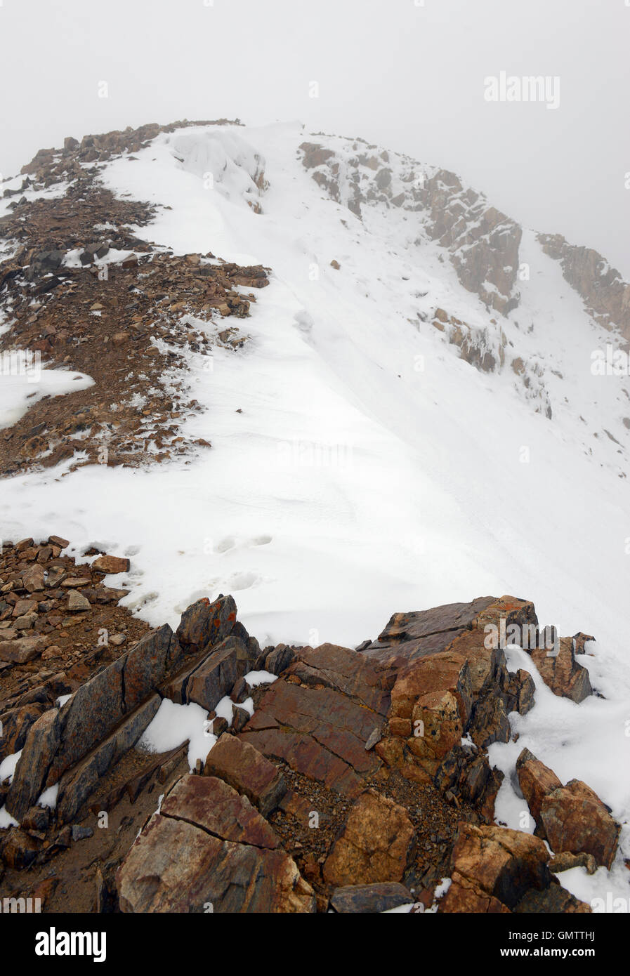 Fresh fallen snow in the Rocky Mountains from new snowstorm while ...