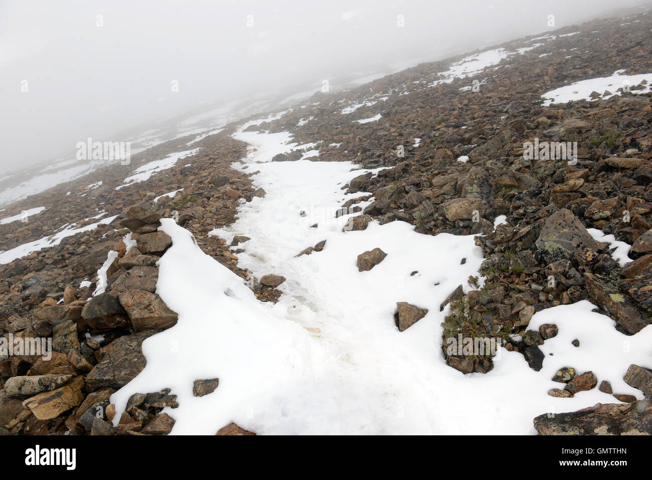 Fresh fallen snow in the Rocky Mountains from new snowstorm while ...