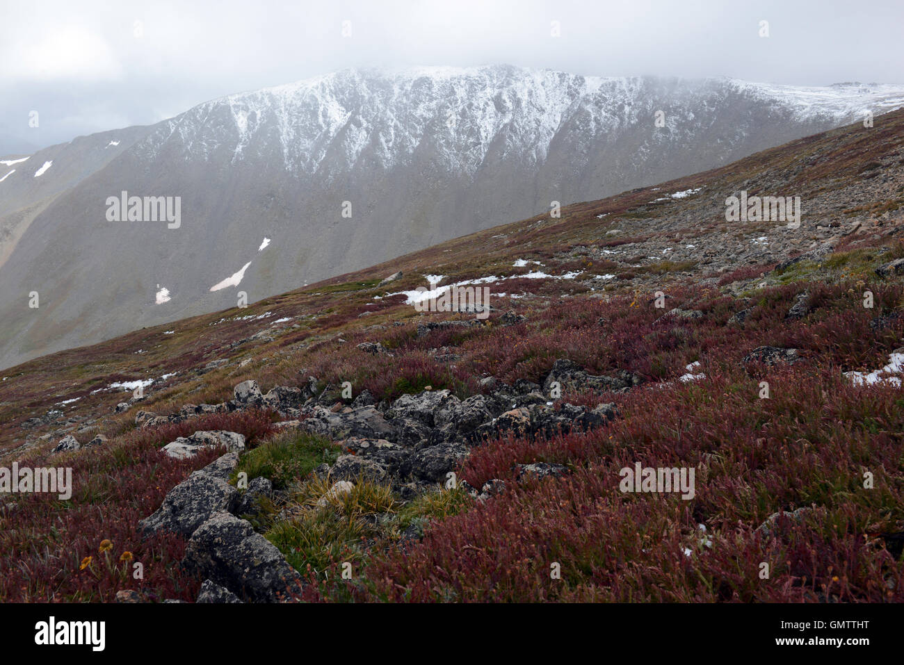 Fresh fallen snow in the Rocky Mountains from new snowstorm while ...