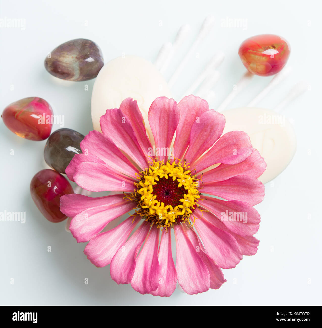 spring flower with white soap Stock Photo - Alamy