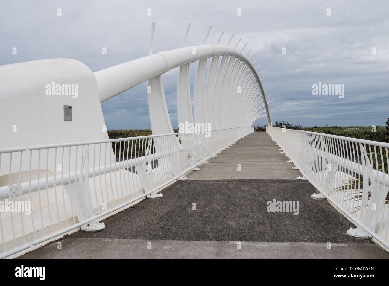 Te Rewa Rewa Bridge, New Plymouth, Taranaki, North Island, New Zealand ...