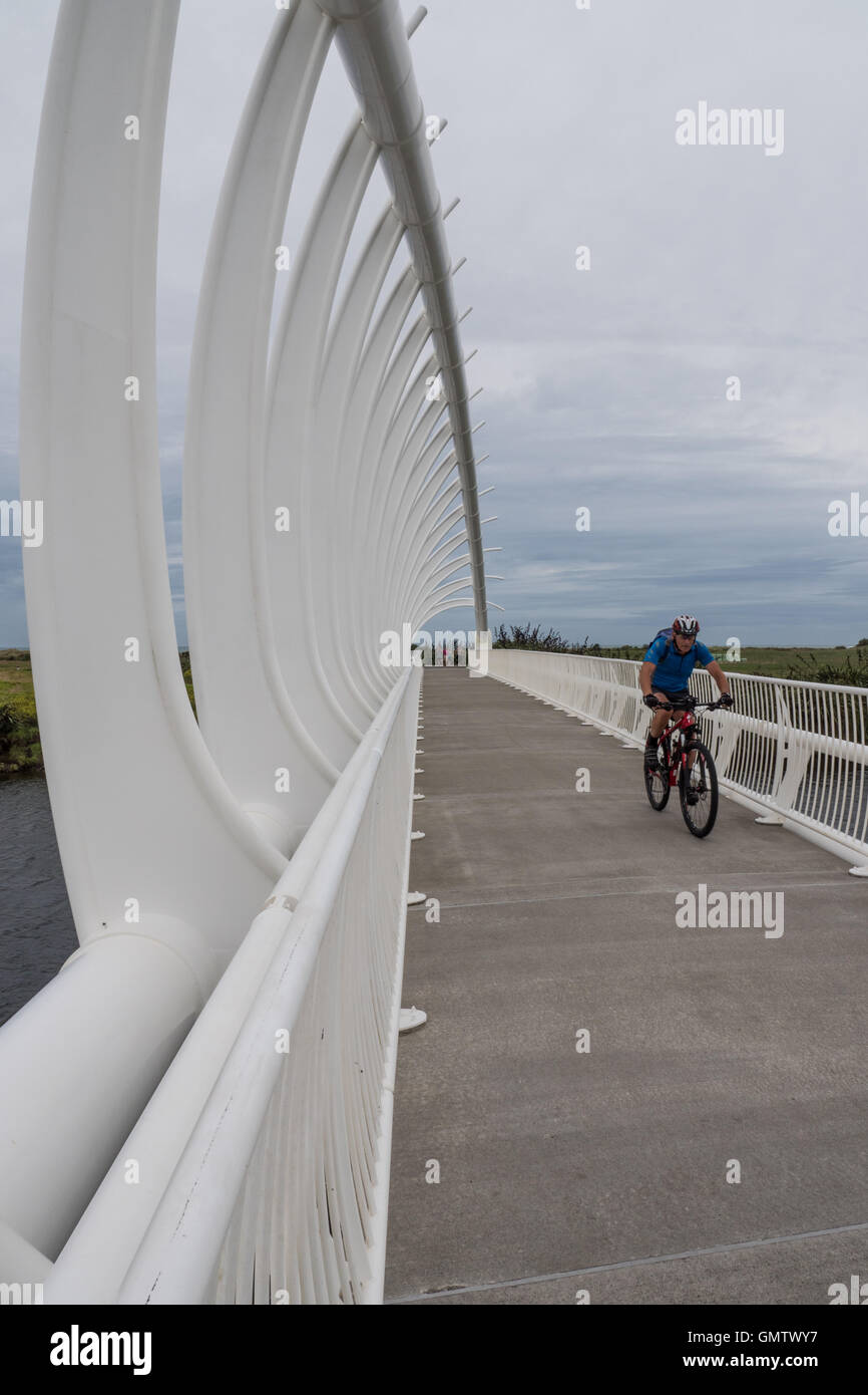 Te Rewa Rewa Bridge, New Plymouth, Taranaki, North Island, New Zealand ...