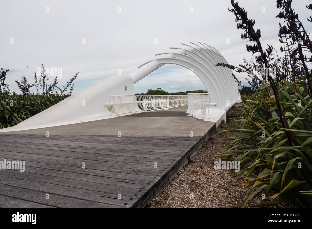 Te Rewa Rewa Bridge, New Plymouth, Taranaki, North Island, New Zealand ...