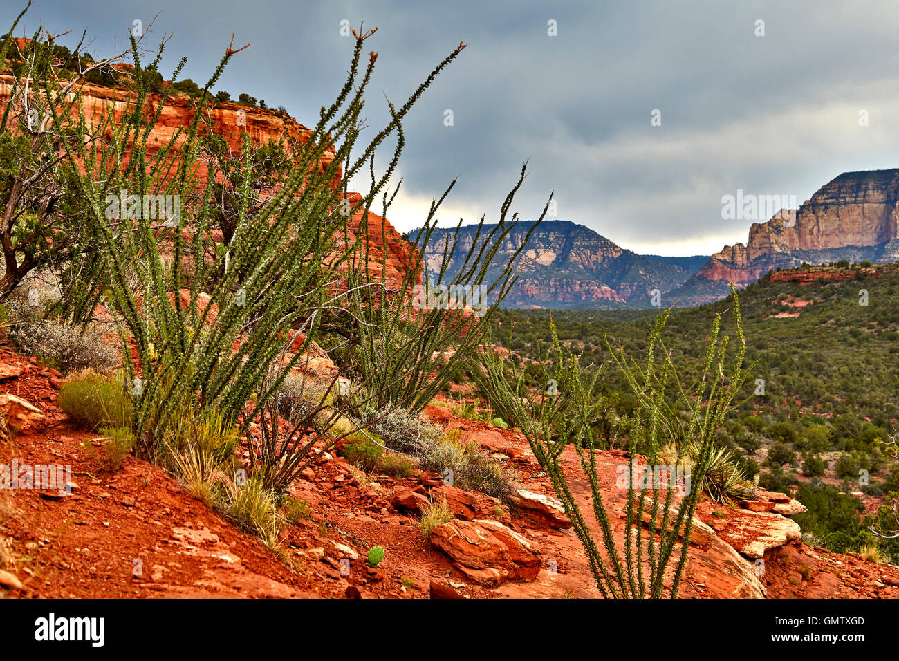 Sedona Arizona Red Rocks with Vegetation Stock Photo - Alamy