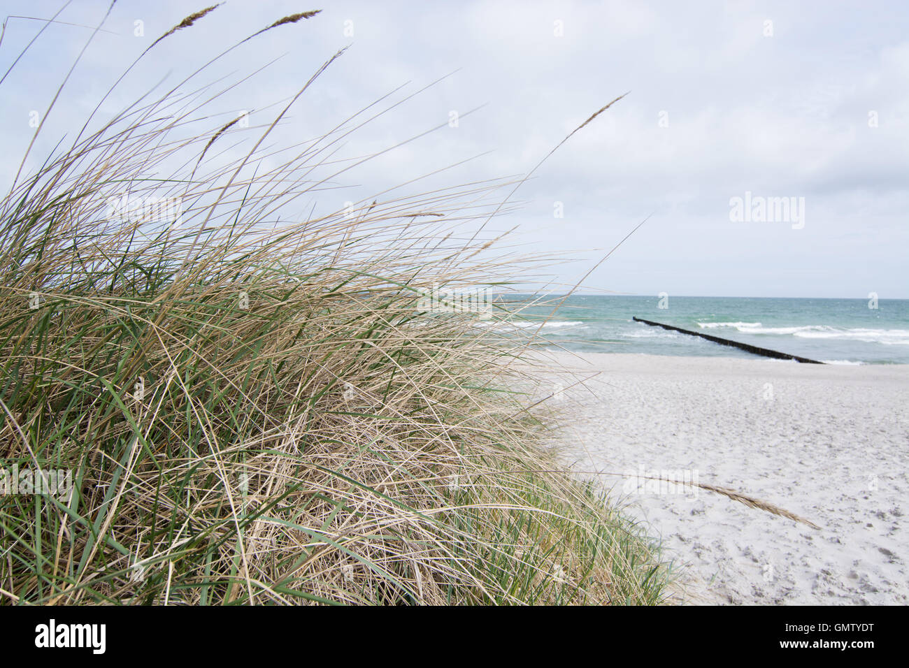 A groyne is a rigid hydraulic structure built from an ocean shore that ...