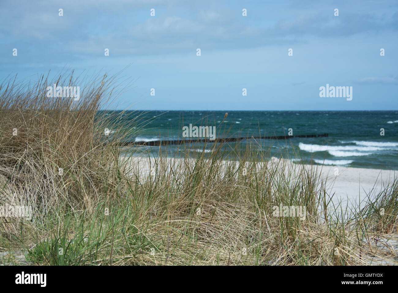 A groyne is a rigid hydraulic structure built from an ocean shore that ...