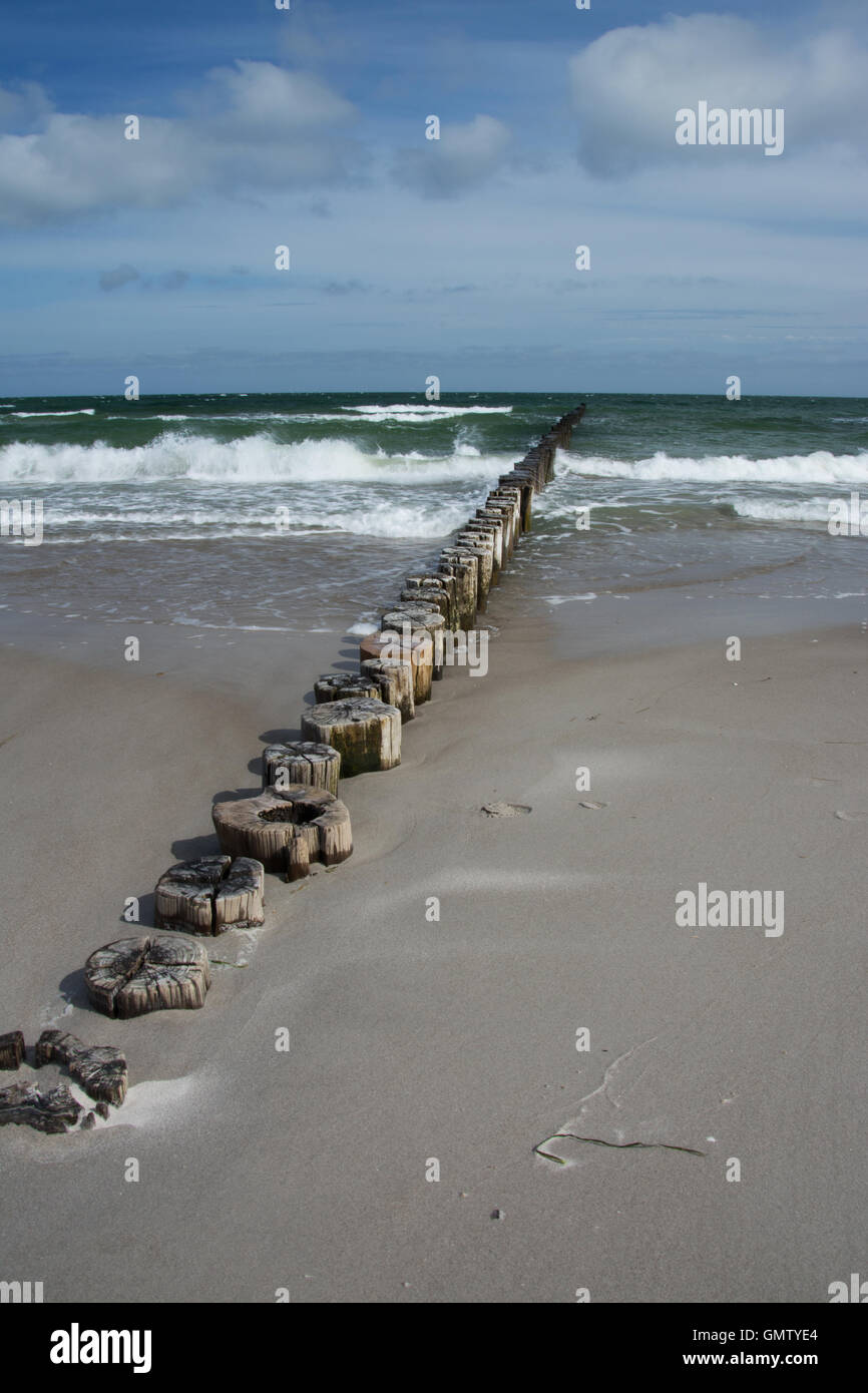 A groyne is a rigid hydraulic structure built from an ocean shore that ...