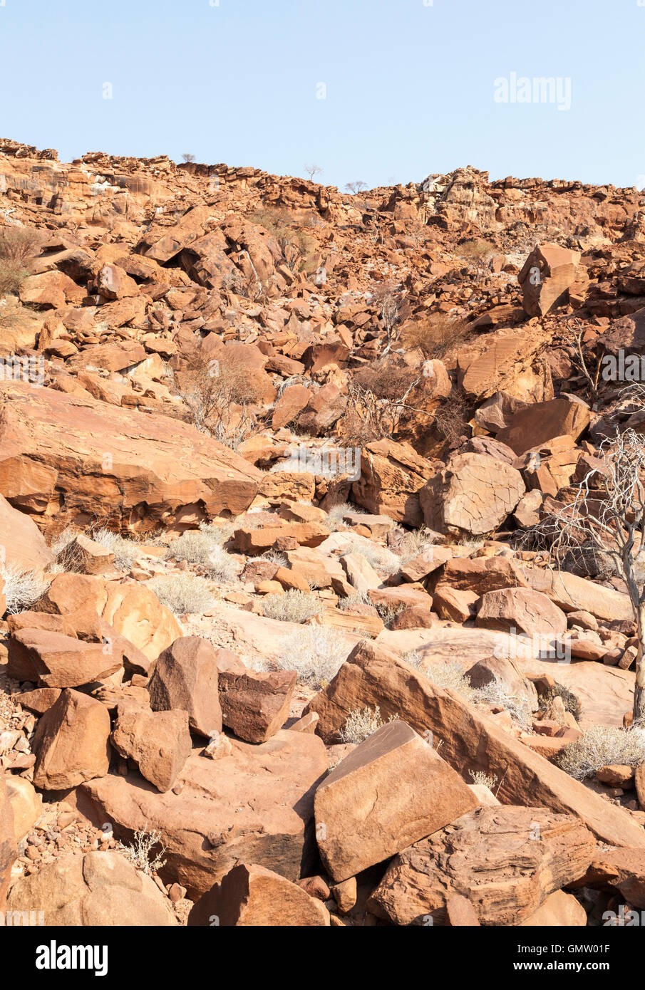 Twyfelfontein petroglyphs, Damaraland, Namibia Stock Photo - Alamy