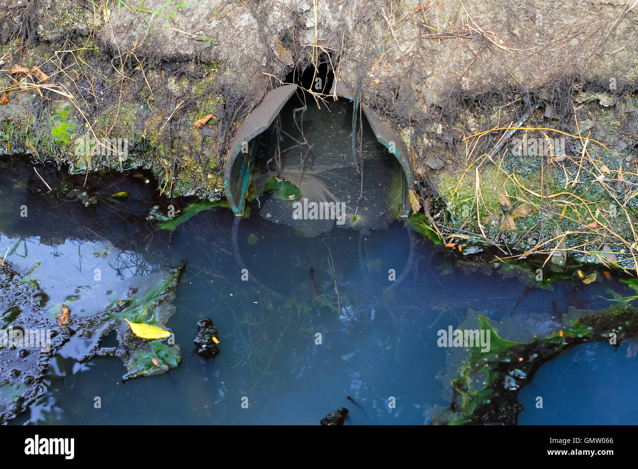 oil Slick and dirty water flow out of the sewer,pollution and ...