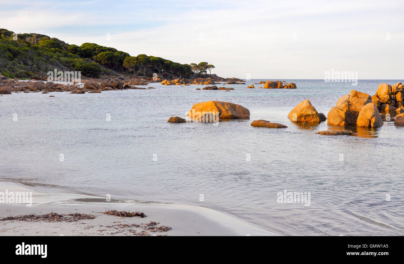 Orange lichen covered rock on the scenic Indian Ocean coast line with ...