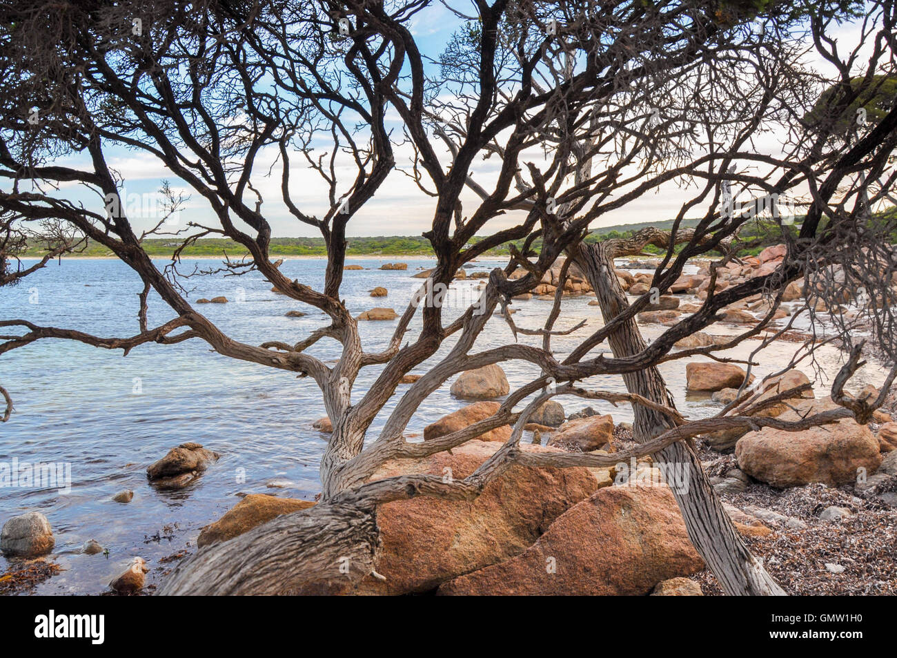 View of the Indian Ocean waters through the coastal tree branches at ...