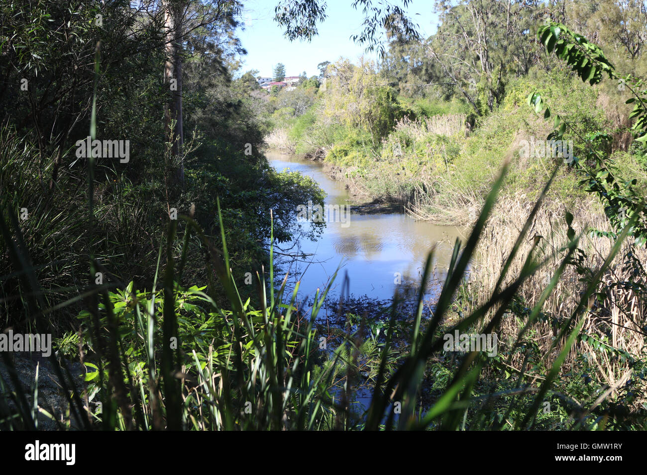 Wolli Creek in Sydney, Australia Stock Photo - Alamy