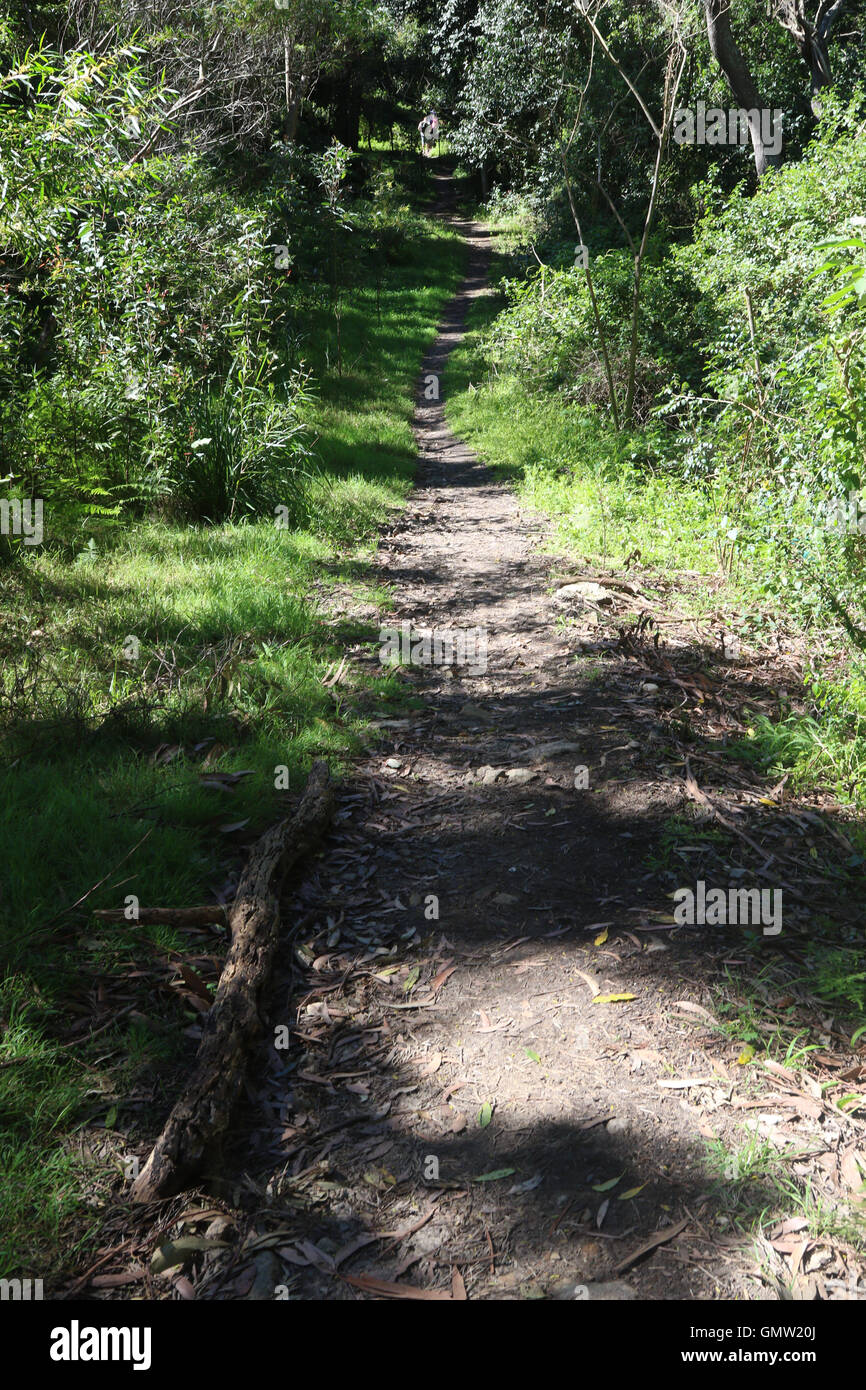 Two track trail hi-res stock photography and images - Alamy