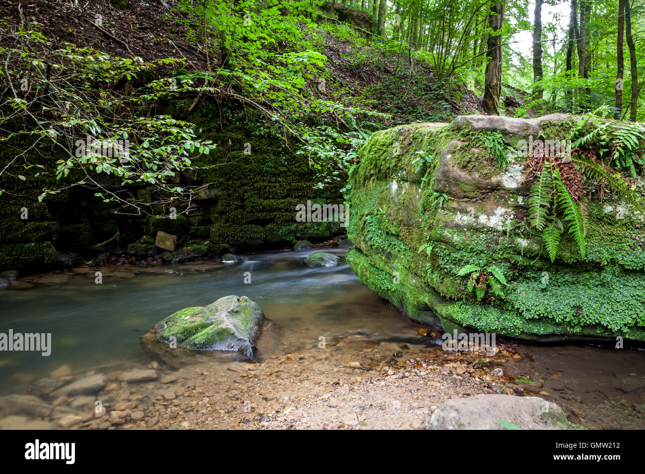 deep in the forest, there is river beside a large boulder in Luxembourg ...